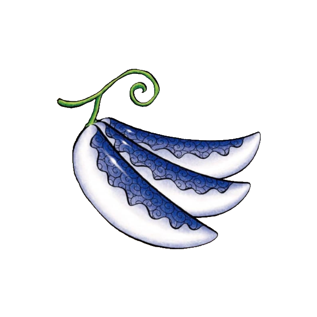 Devil Fruit Encyclopedia - Chronological